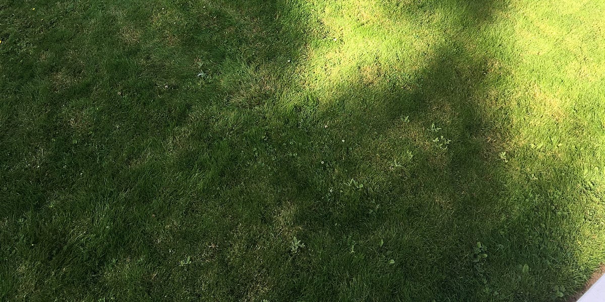 housebroken - by Audrey Hazel - insides on the outside