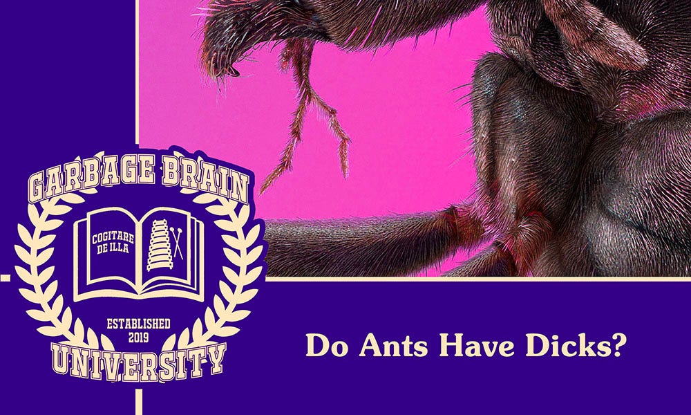GBU 66: Do Ants Have Dicks? - by Drew & Natalie Dee