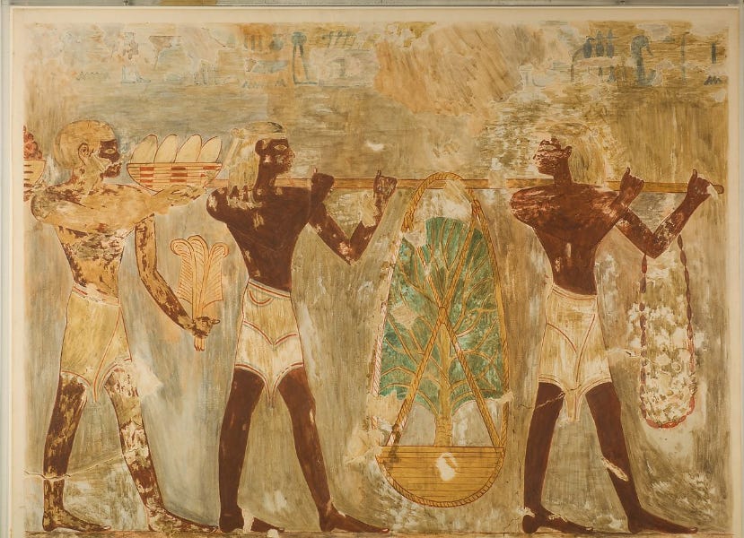 Demystifying the land of Punt and locating ancient Egypt's place in ...