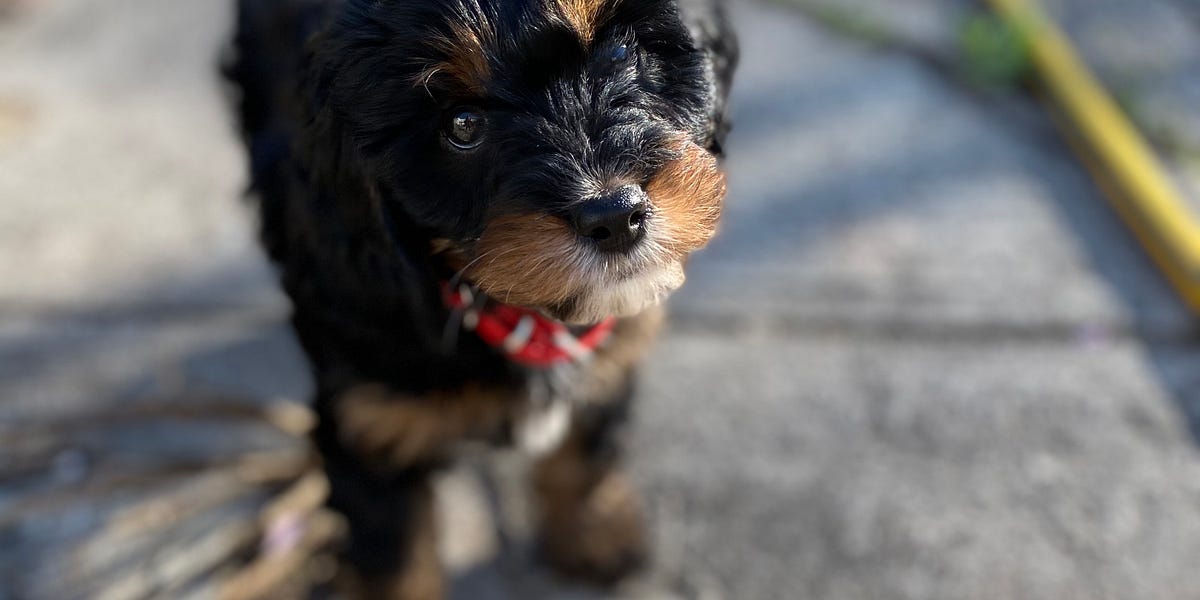 Switching Up Your Typical Routine - by Mallory Creveling