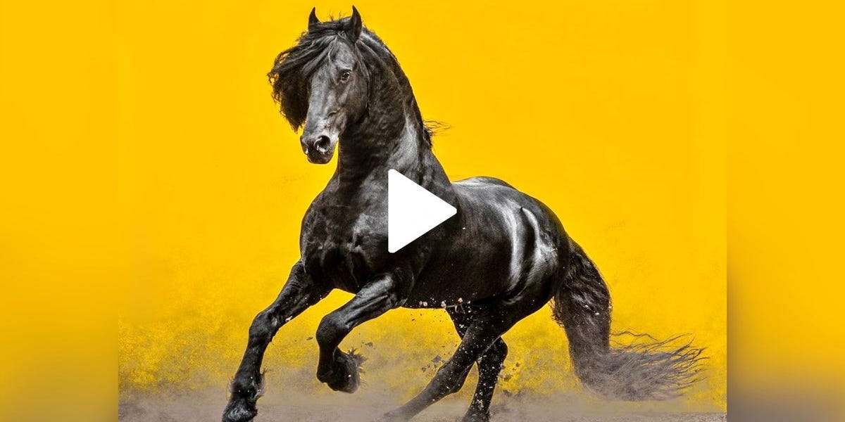 Evolution vs Intelligent Design - by David C. Stolinsky