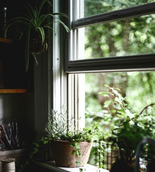 Bilhete #12 - by Aline Cabral - Bilhete da Aline