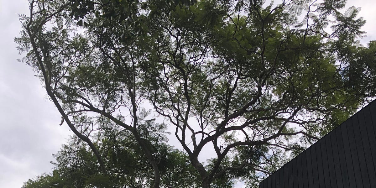 The golf hut.... - by Clive Mayhew - The Golf Hut