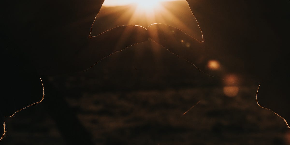 Seeing the Student - by Bevan Holloway