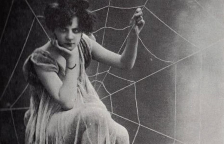 A Defense of the Common House Spider - by Meg Conley