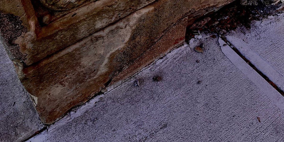 The World Will Listen Back - by Annette Januzzi Wick