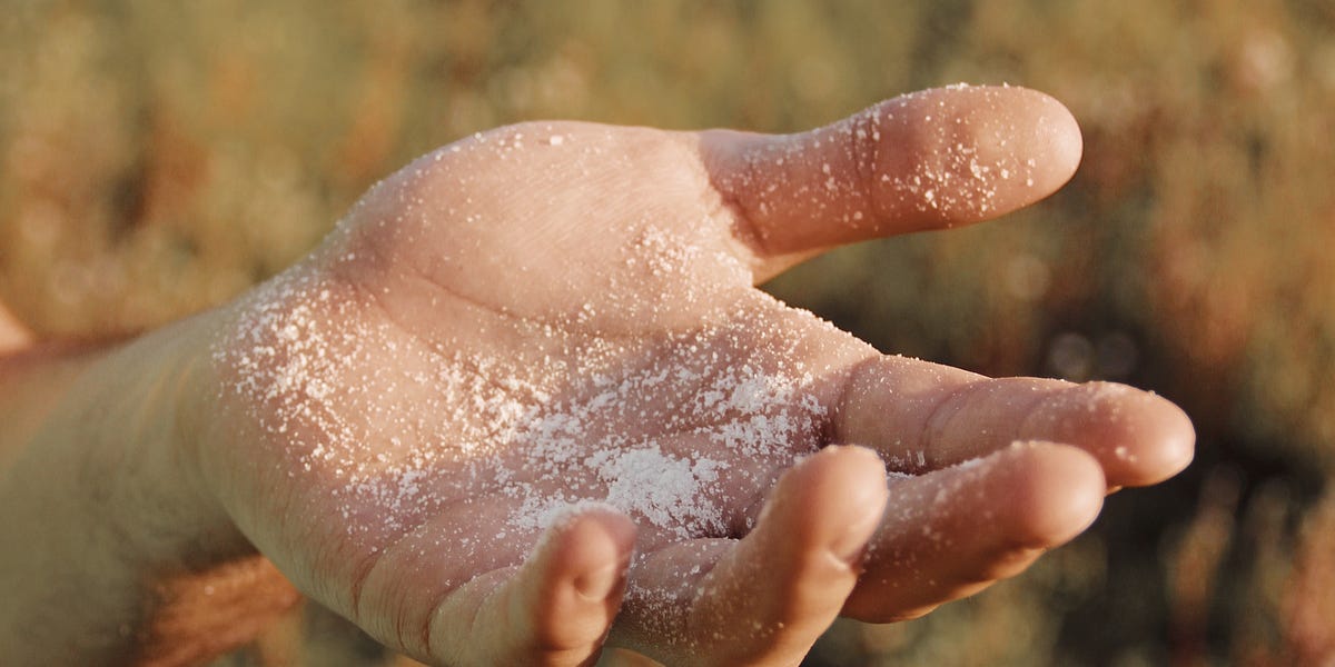 Sermon on the Mount: Salt and Light - by Barbara Sande