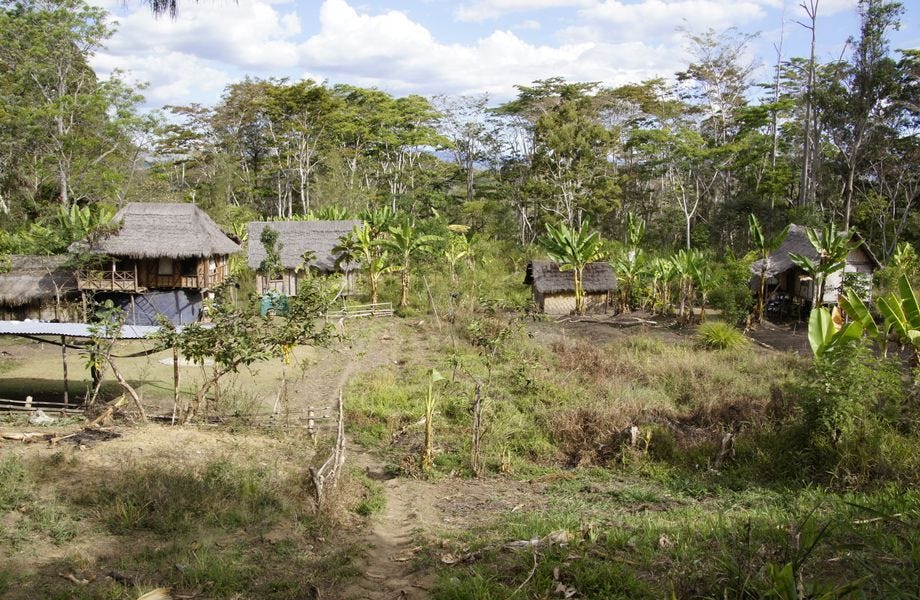 Q&A: Muh Sacred Democracy - by Darryl Cooper