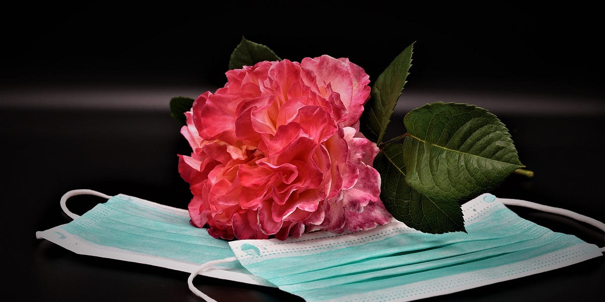 Who Watches the Wachters - by David McCune, MD, MPH