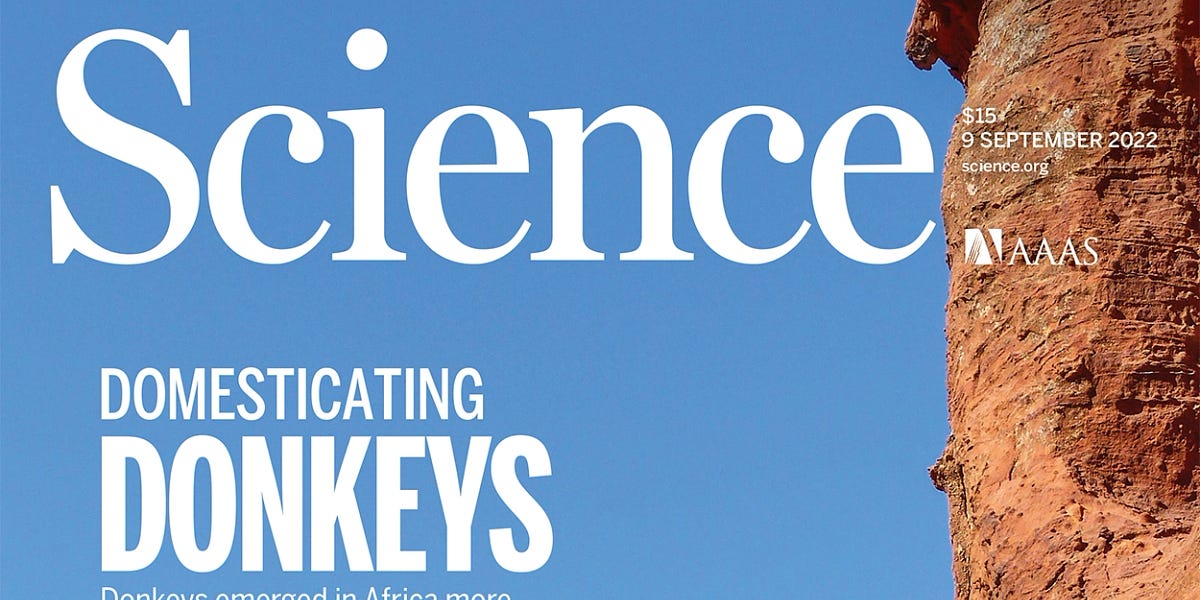 Donkey Domestication Occurred 7,000 Years Ago