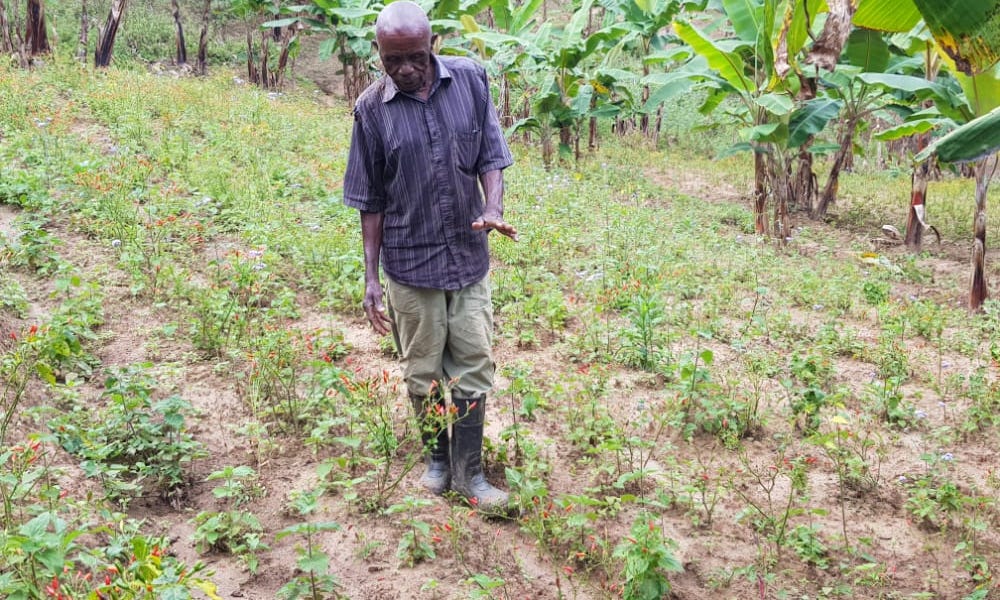 Temwa Malawi makes farming viable option for survival in Nkhata Bay