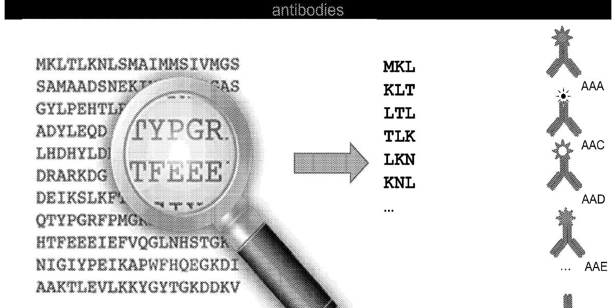 Nautilus Biotechnology - by Nava Whiteford