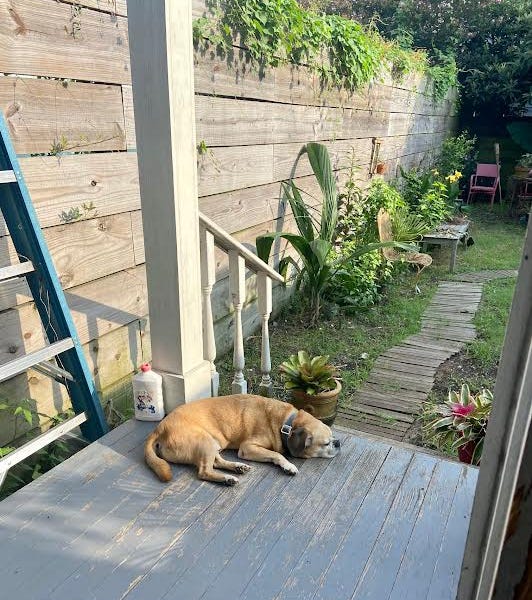 Second Round of the Mini 1000 - by Jami Attenberg