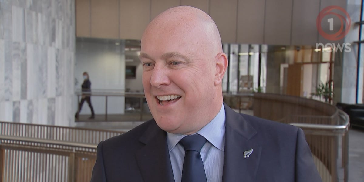 The phrase that pays - by David Slack