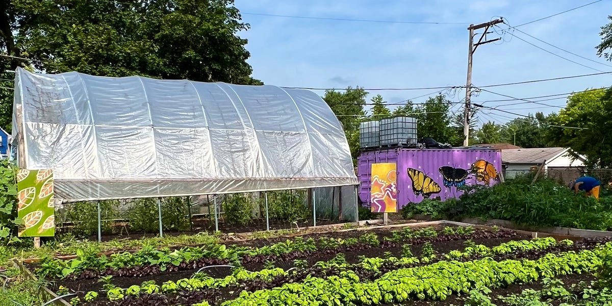 The Stellar Work of Star Farm Chicago - by Bob Benenson