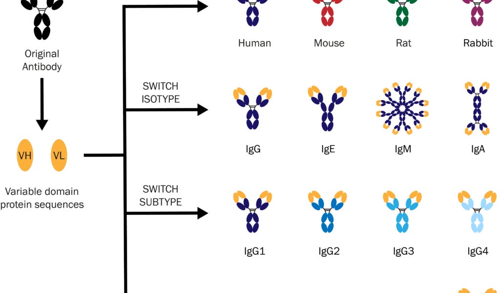 Axial - Adimab - by Axial Sprawl - Axial