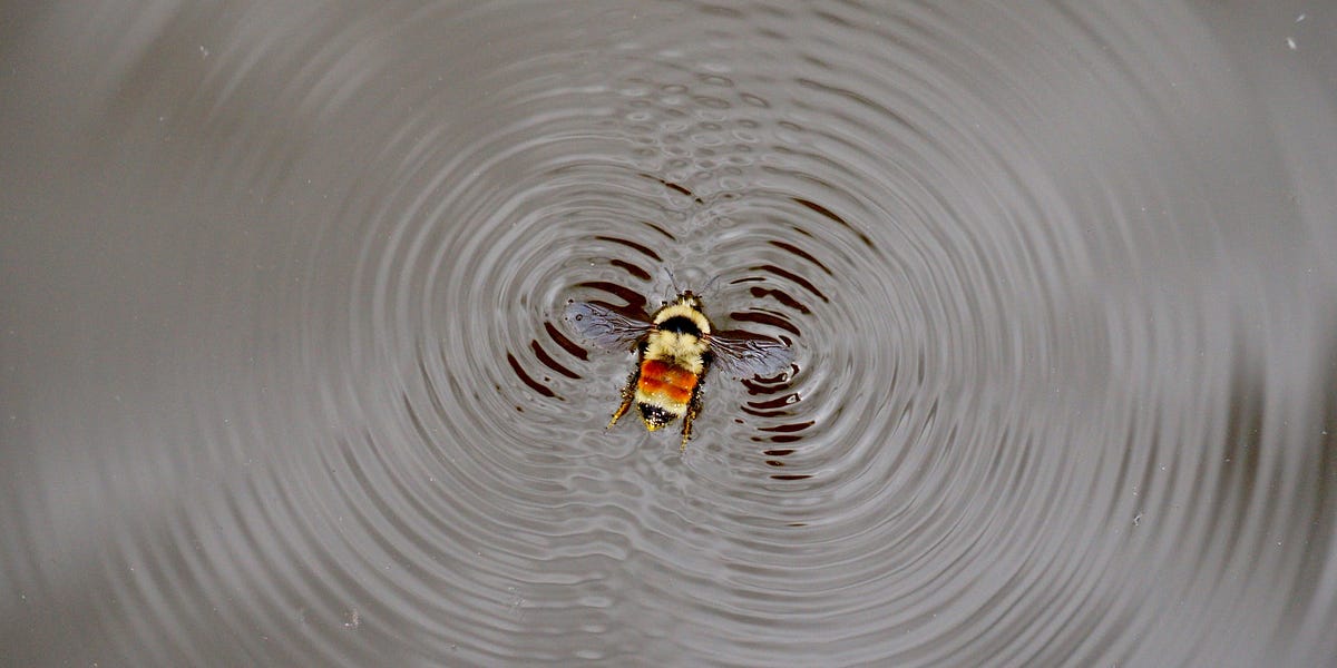 In Honor of Shaking: Part 1 - by Aaron - Redefined Life