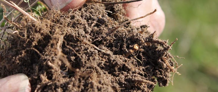 Le Haney Test, un indicateur clé de performance pour suivre le ...