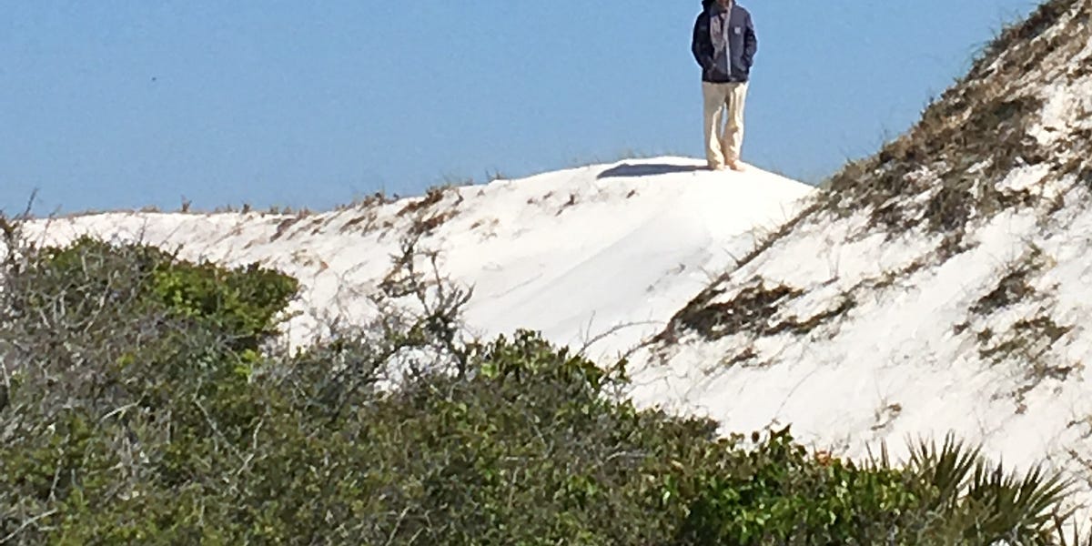 Bereft - by Cassie Seiple - Time Out of Mind