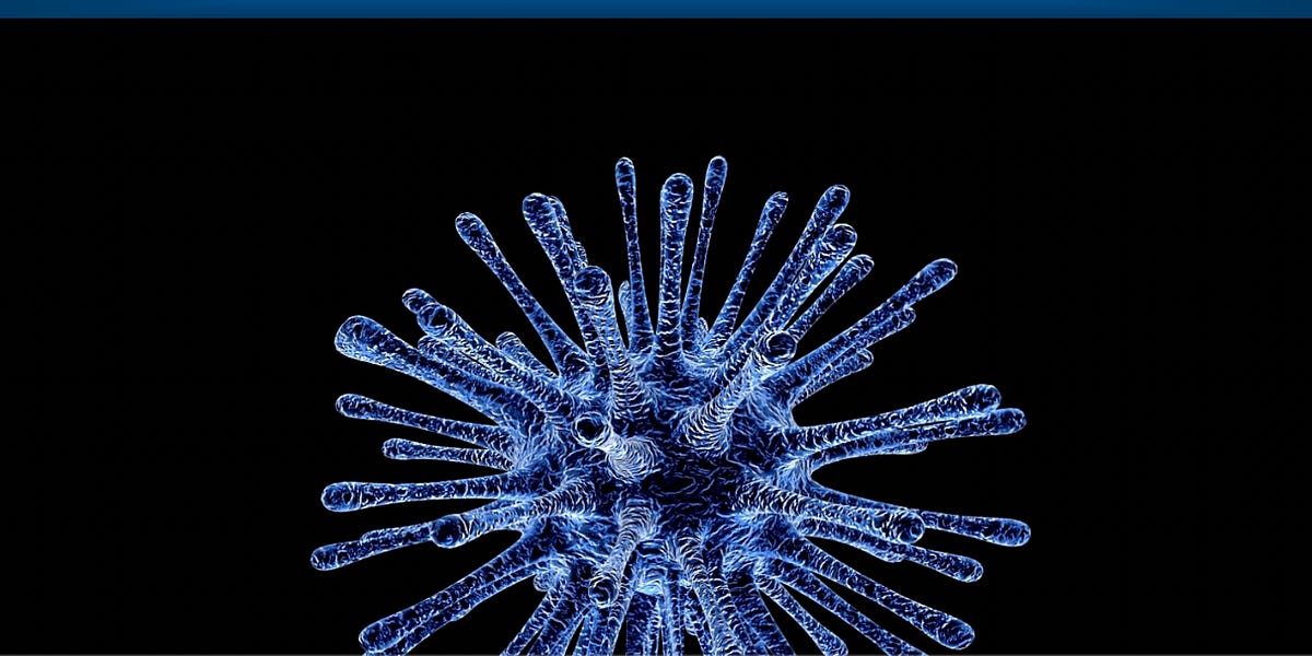 The curious case of Pfizer, SAGE HANNA, TURBO CANCER, and Seagen; what ...