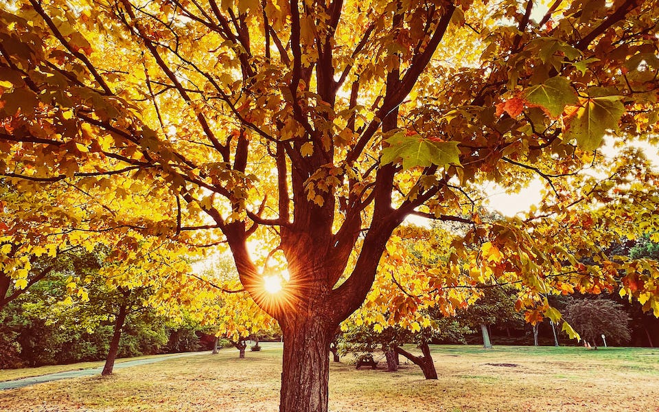 Cha-Cha-Cha-Changes - by Sheila Moeschen - Stay Curious