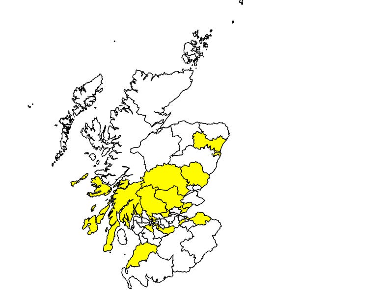 An absolute (yellow) belter - by Patrick English