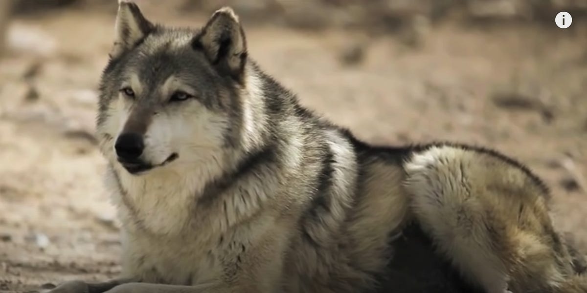 Your Business is a system... - by Rory Ramsden