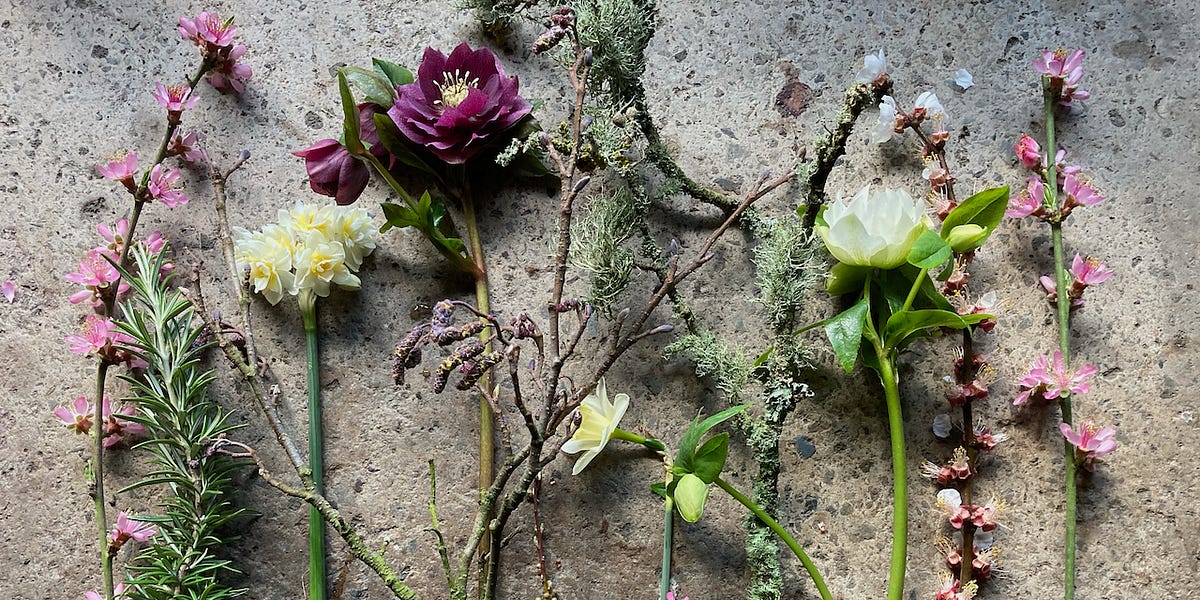 New Growth - by Caroline Beck - DIRT
