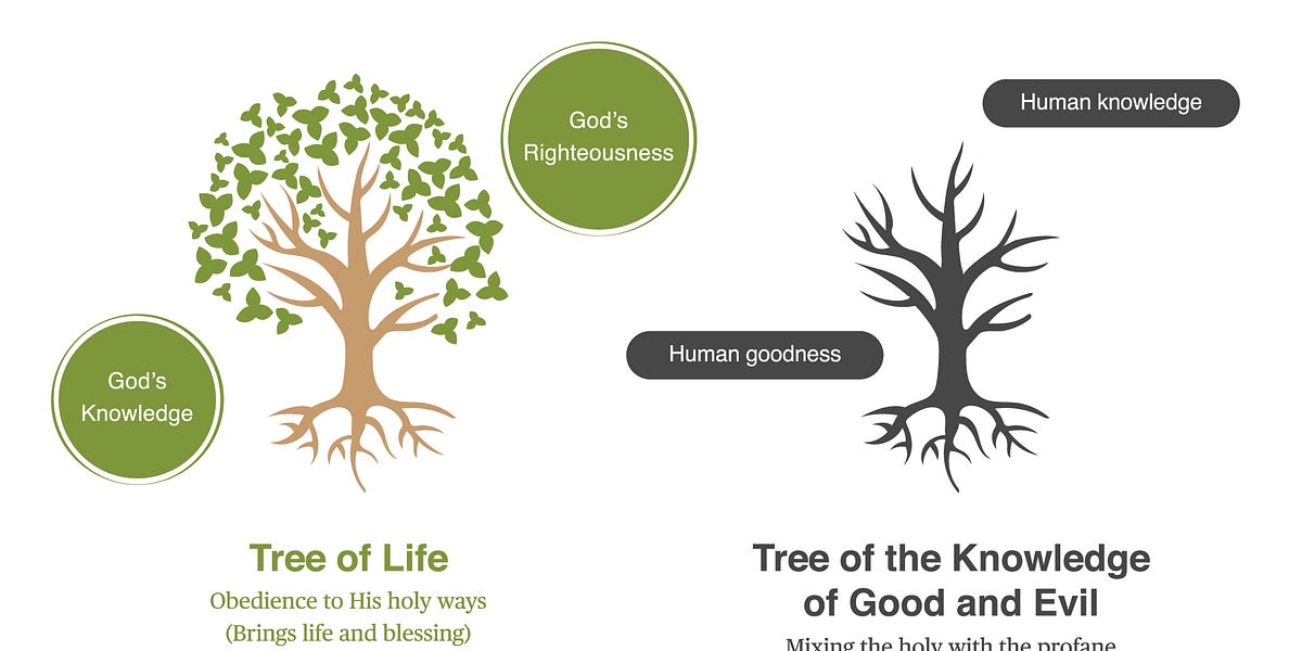 Biblical Health Laws - by Wilmien Bos - Pilgrim's Well