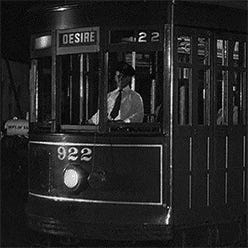 The Streetcar Named Desire - James Grissom