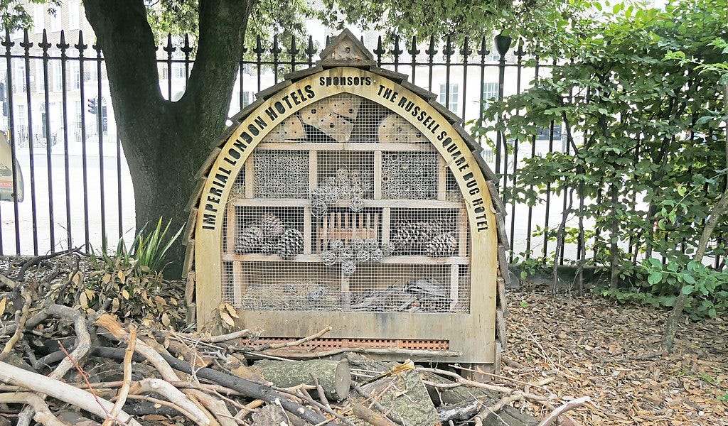 EDOS 2022 uke 45 - by Leif Knutsen