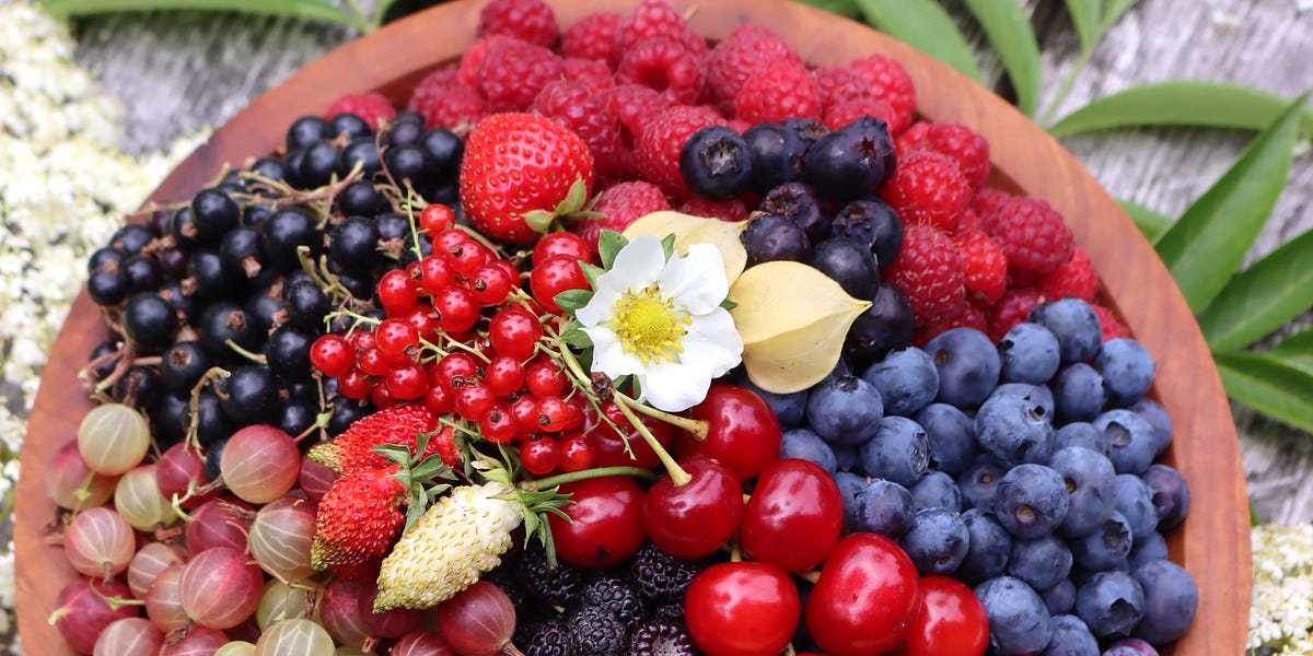 Late July 2022| Practical Self Reliance - by Ashley Adamant