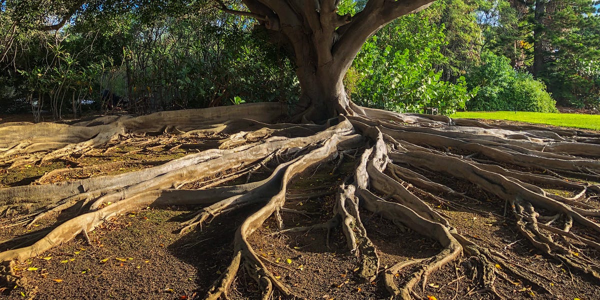 Detransitioner Petspective: What Conversion Therapy Means To Me