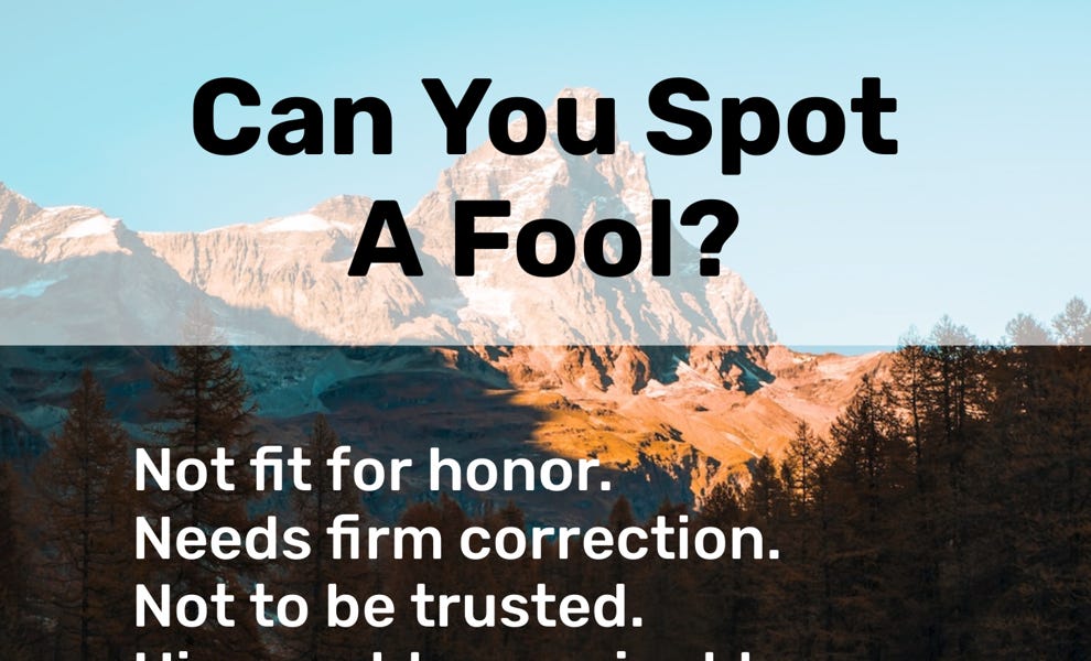 When You Look Like A Fool... - by Paul Bass