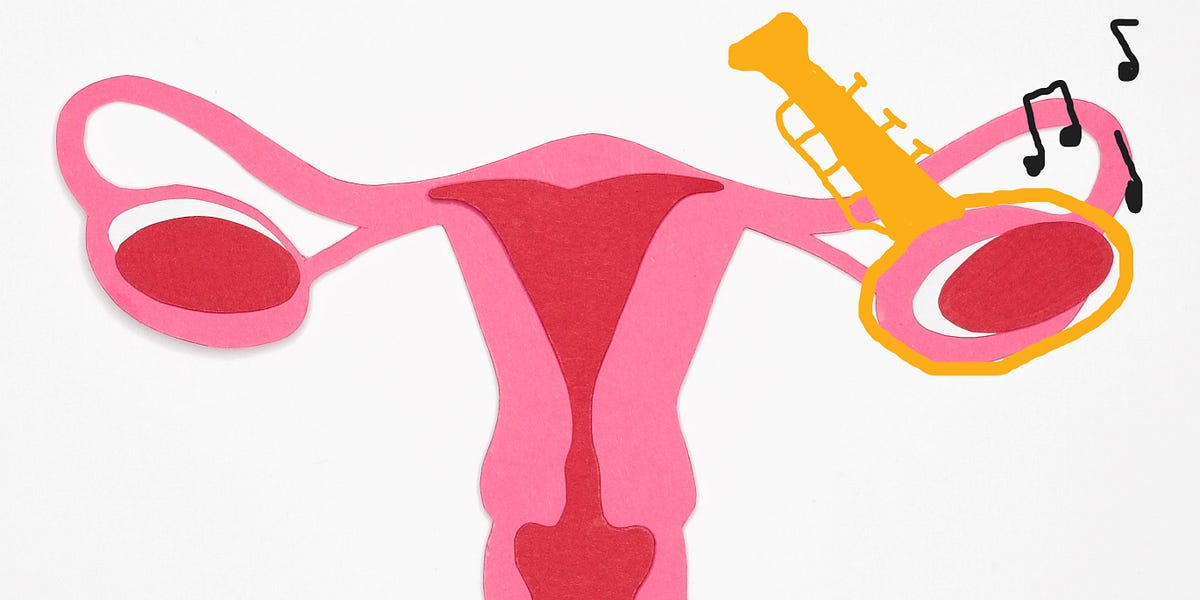 GABRIELLE FALLOPIO - by Savannah Darcy