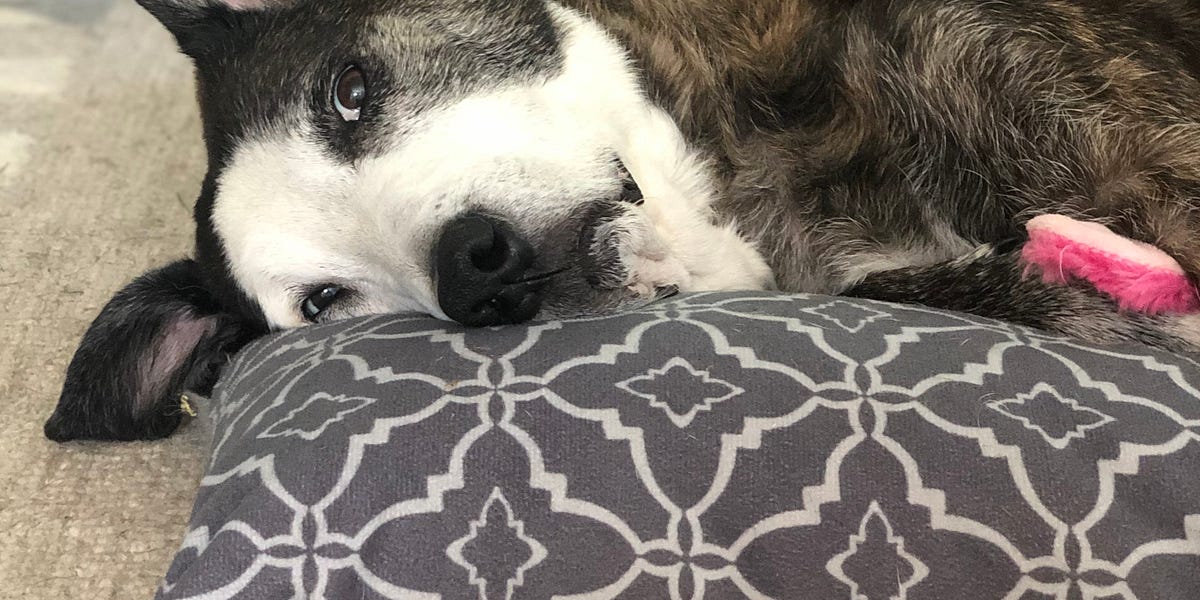 In mayo as in life. - by Ruth Reader - recipe for disaster