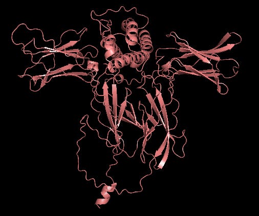 The Language of Biology: Computation to aid protein design