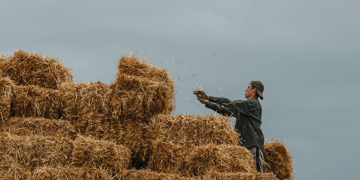 The standing reserve of the Modern World - by Alex Reynolds