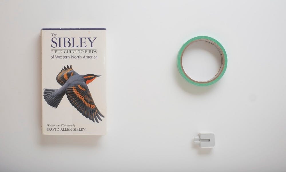 471 / still life - by Marcus Fischer - Dust Breeding