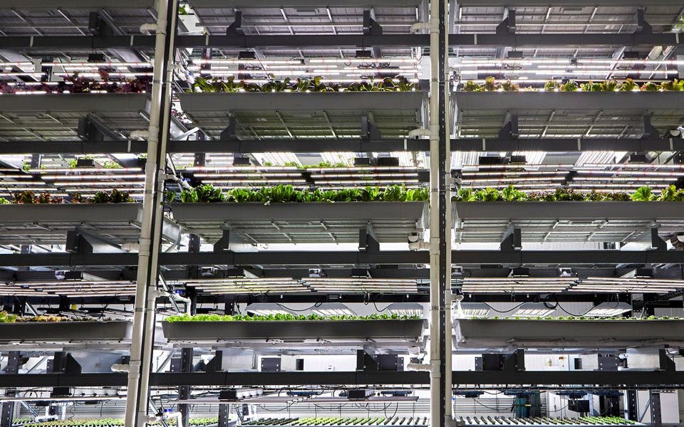 All Vertical Farming #8 - Bowery farms and Infarm into hyper-growth ...