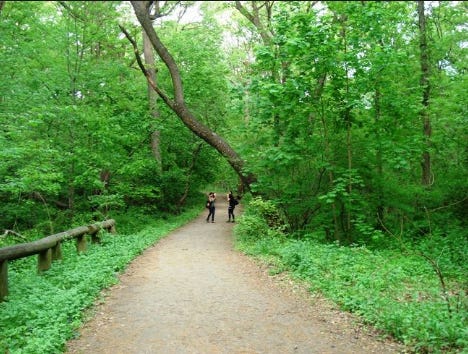 Megan Broussard & Michelle Drozdick
