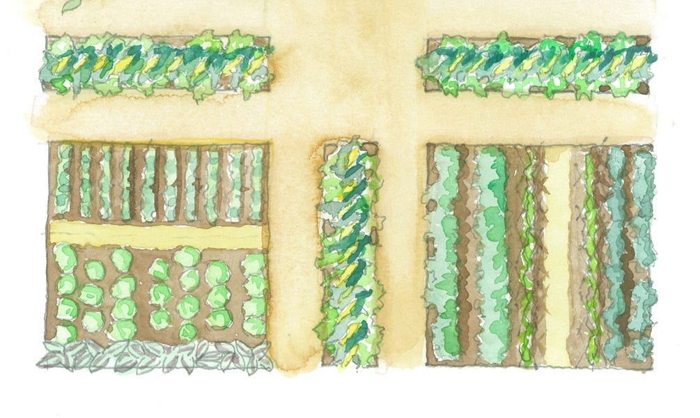 Organic Four-Square Garden - by Ellen Ecker Ogden