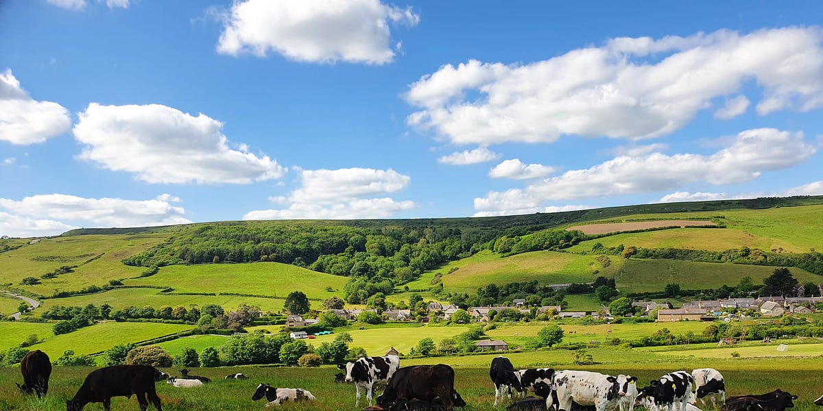 Pensilina #2: Trova le differenze - by Manuel Gatti