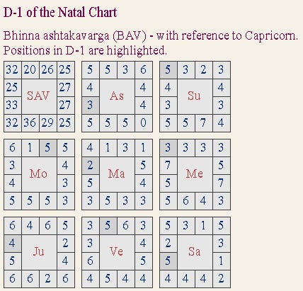 What is the significance of Rahu-Ketu in the Ashtakavarga system?