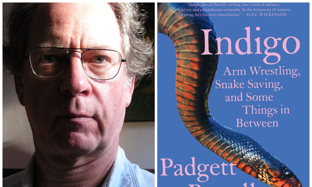 The Reluctant Book Reviewer: Join Padgett Powell with Ann Kjellberg “at ...