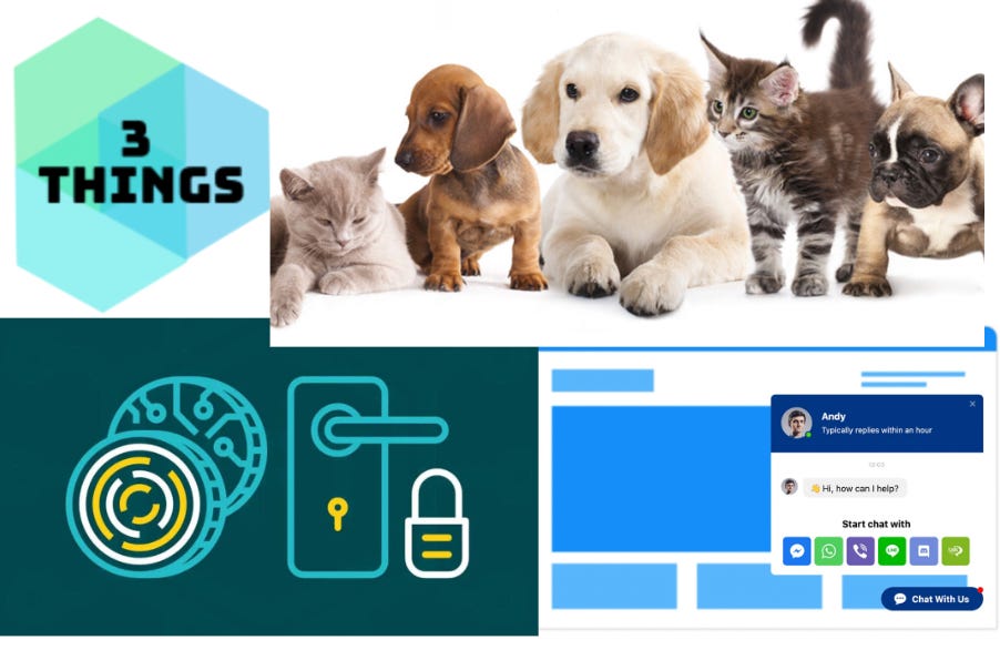 3 Things: - by Elaine Zelby - 3 Things