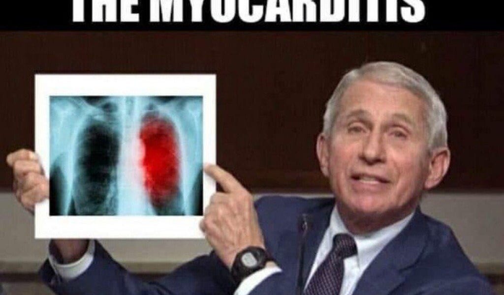 Midweek Memes - by Amy Sukwan - Amy’s Newsletter