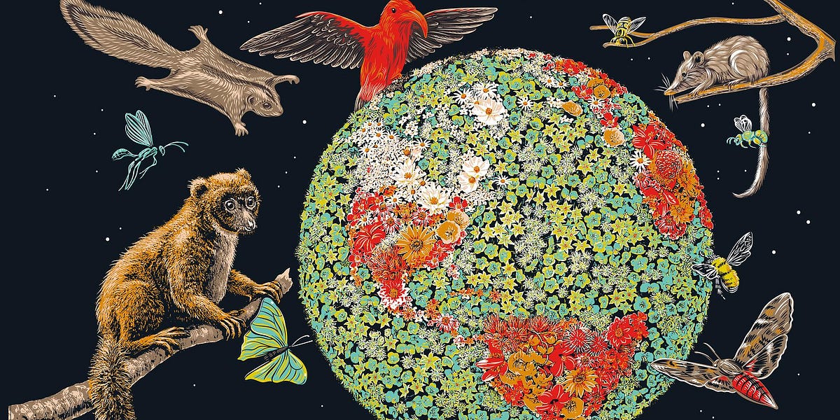 Happy Pollinator Week! - by Tierney Monahan - Beyond Honey