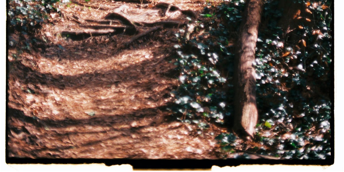 letter nine: walking trails - by Morgan Greene - FRITH