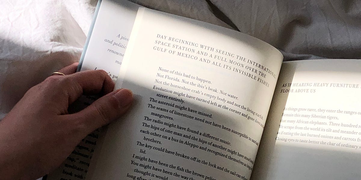 A poem for when the world feels too harsh - by Arianna